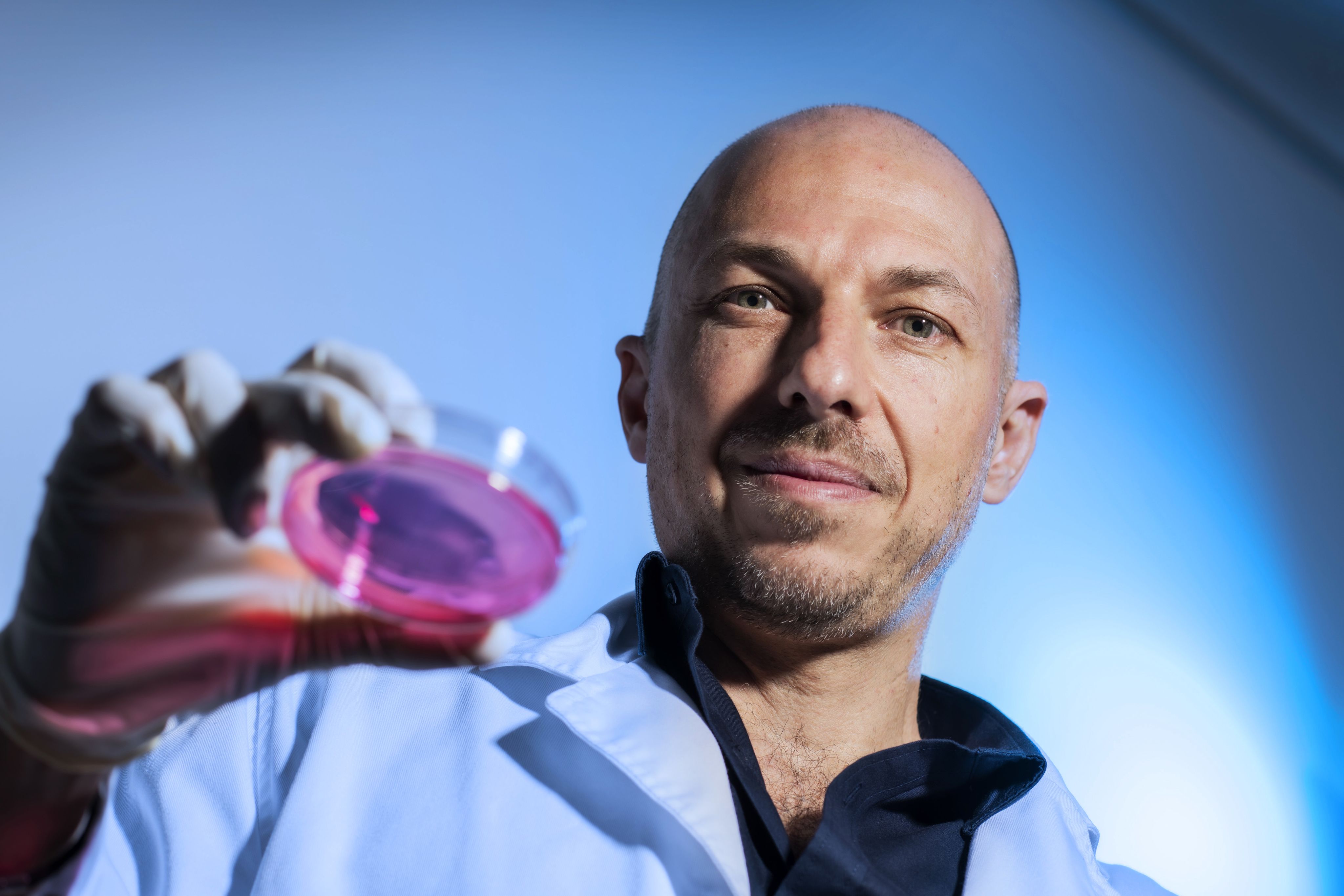 Bond researchers' quest to cure blindness | Bond University | Gold ...