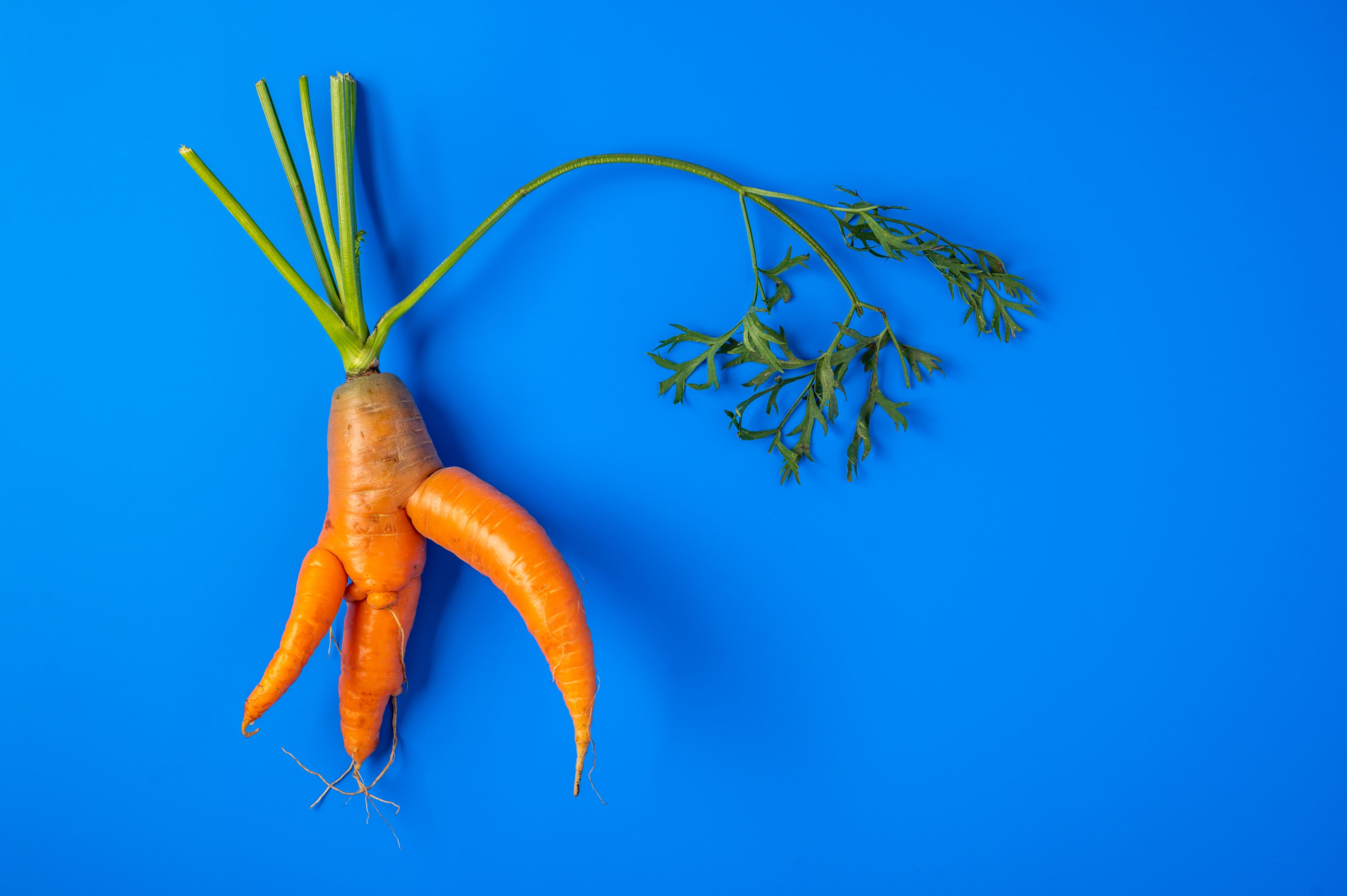 Ugly food | Bond University | Gold Coast, Queensland, Australia