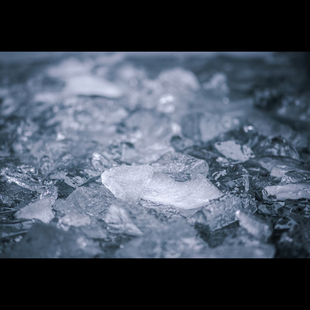 Cold comfort | Bond University | Gold Coast, Queensland, Australia