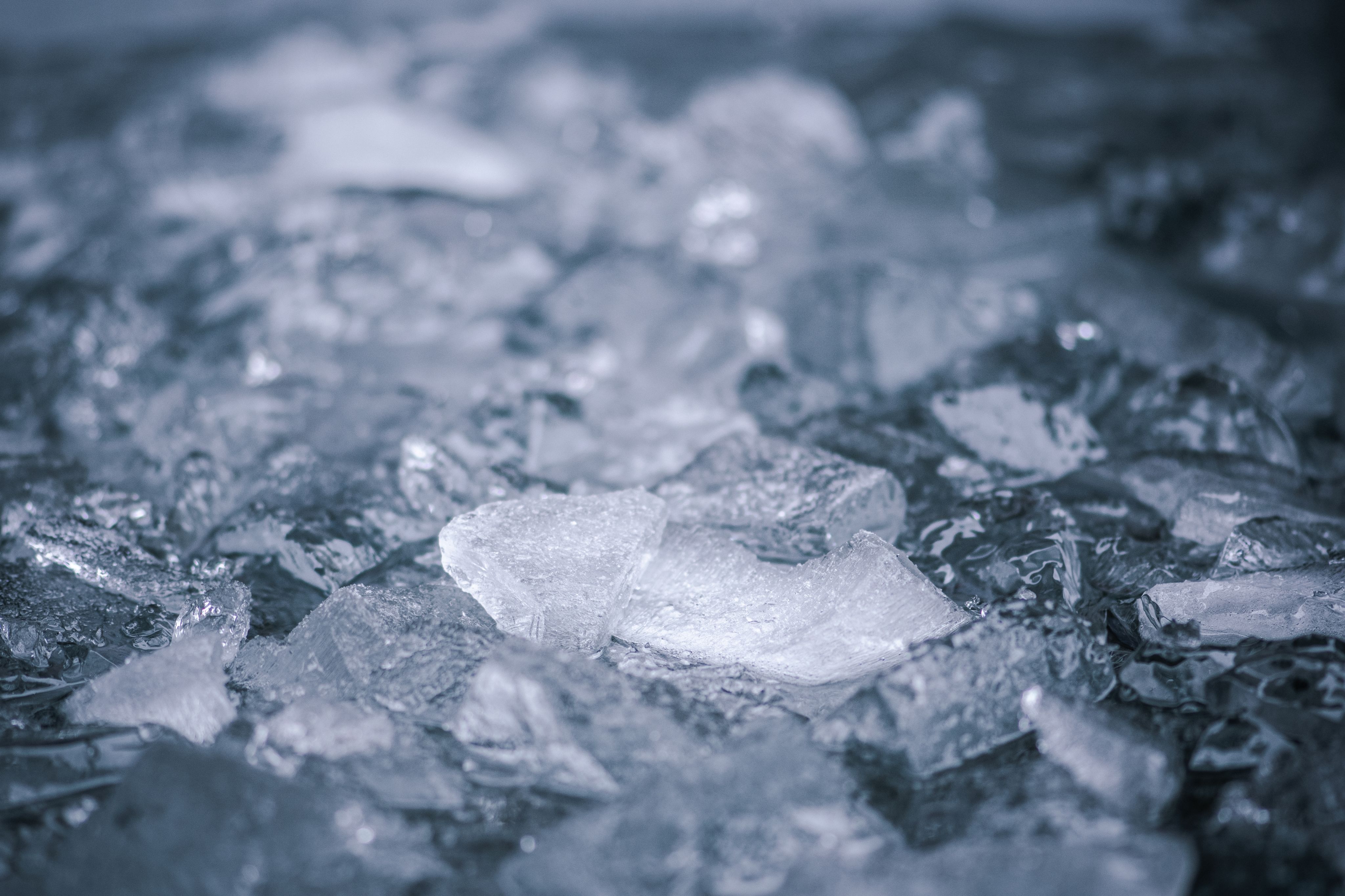 Cold comfort | Bond University | Gold Coast, Queensland, Australia