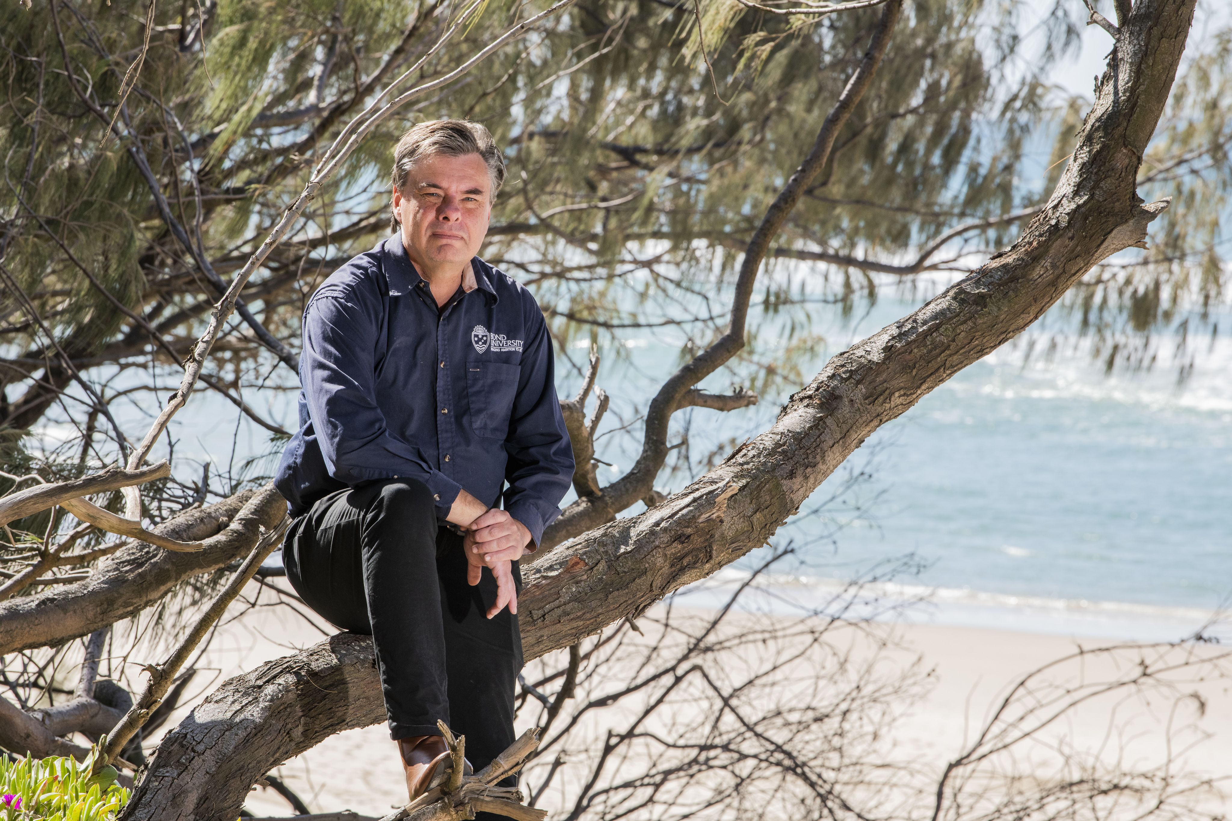 Why there's been a cluster of shark bites | Bond University | Gold ...